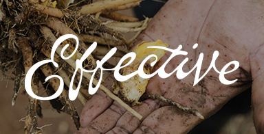 뉴트리라이트 농장 | Amway Korea